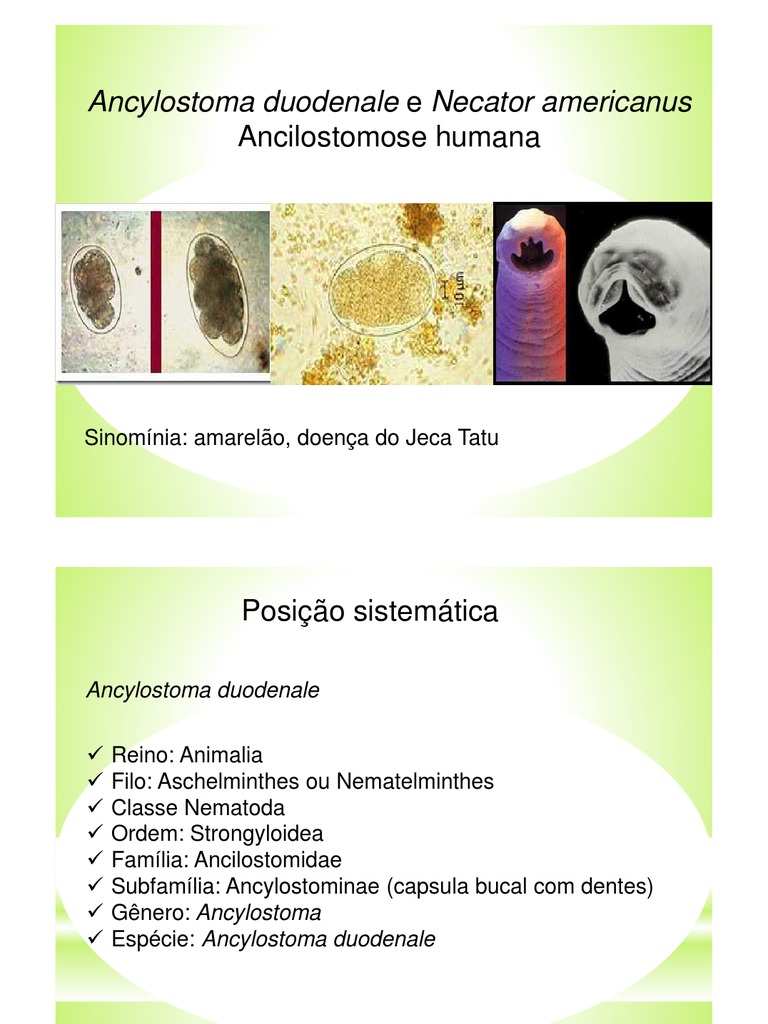 Ancilostomose | Especialidades Médicas | Bem-estar