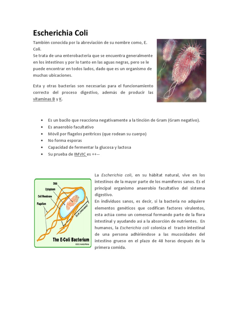 Escherichia Coli | PDF | Escherichia coli | Patologia clinica