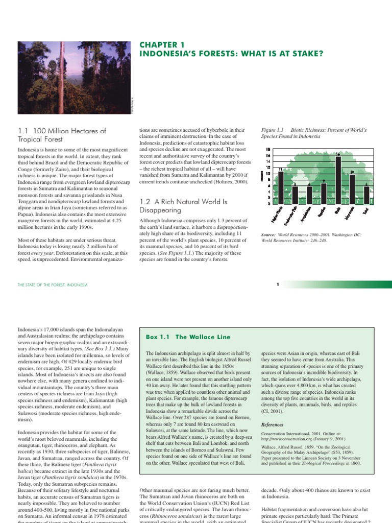 Indonesia S Forests What Is At Stake 1 1 100 Million Hectares Of