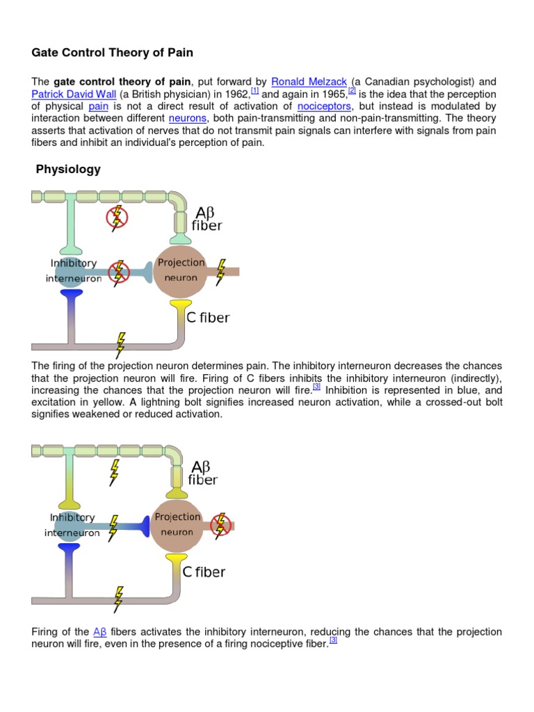 Gate Control Theory of Pain | Feeling | Subjective Experience