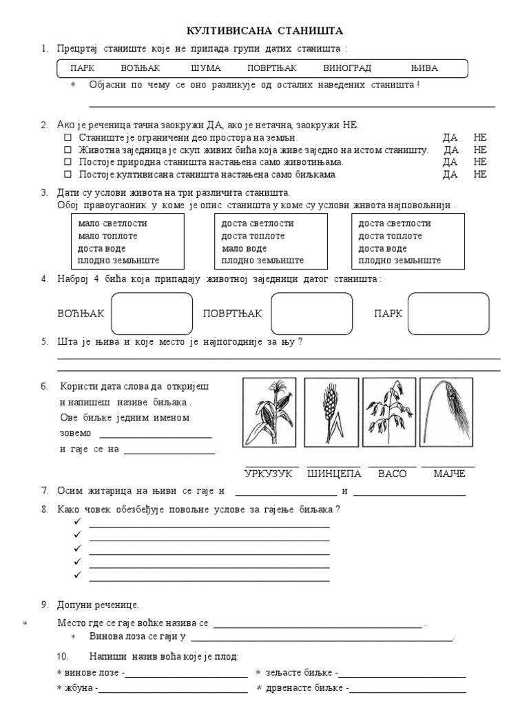 Kultivisana Stanista | PDF