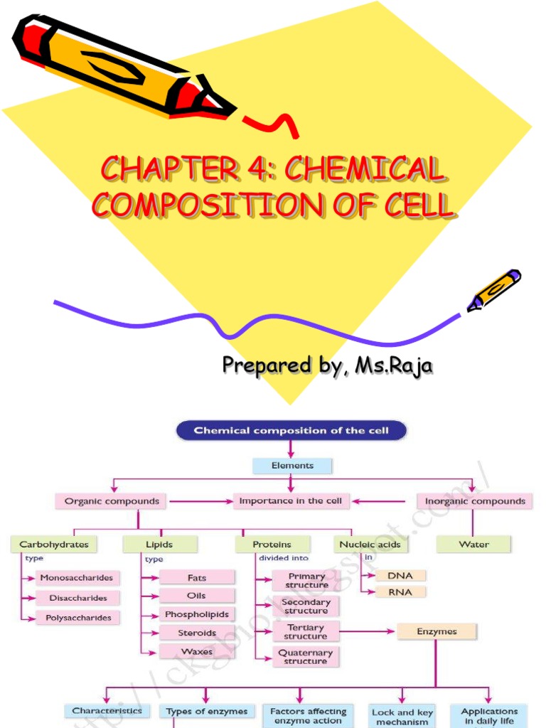 Chemical Composition of Cell | PDF | Carbohydrates | Glucose