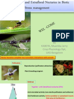 Nectar Bee Swarm Simulator Wiki Fandom | PDF | Bees