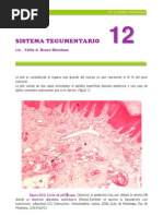 Proteus Ox-19 y Rickettsiosis | PDF | Organismos | Epidemiología