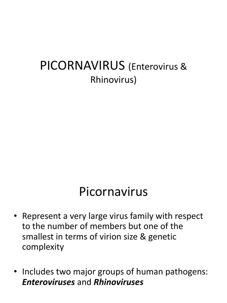 PICORNAVIRUS (Enterovirus & Rhinovirus) | Poliomyelitis | Virology