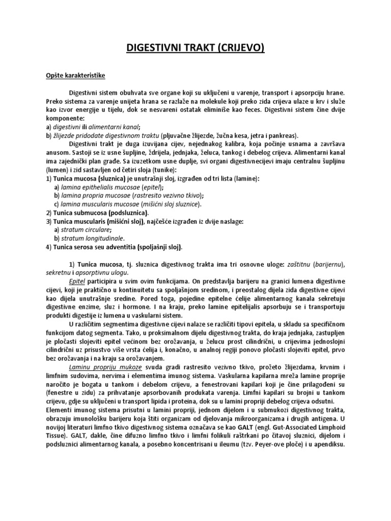 Digestivni Trakt - Crijevo | PDF