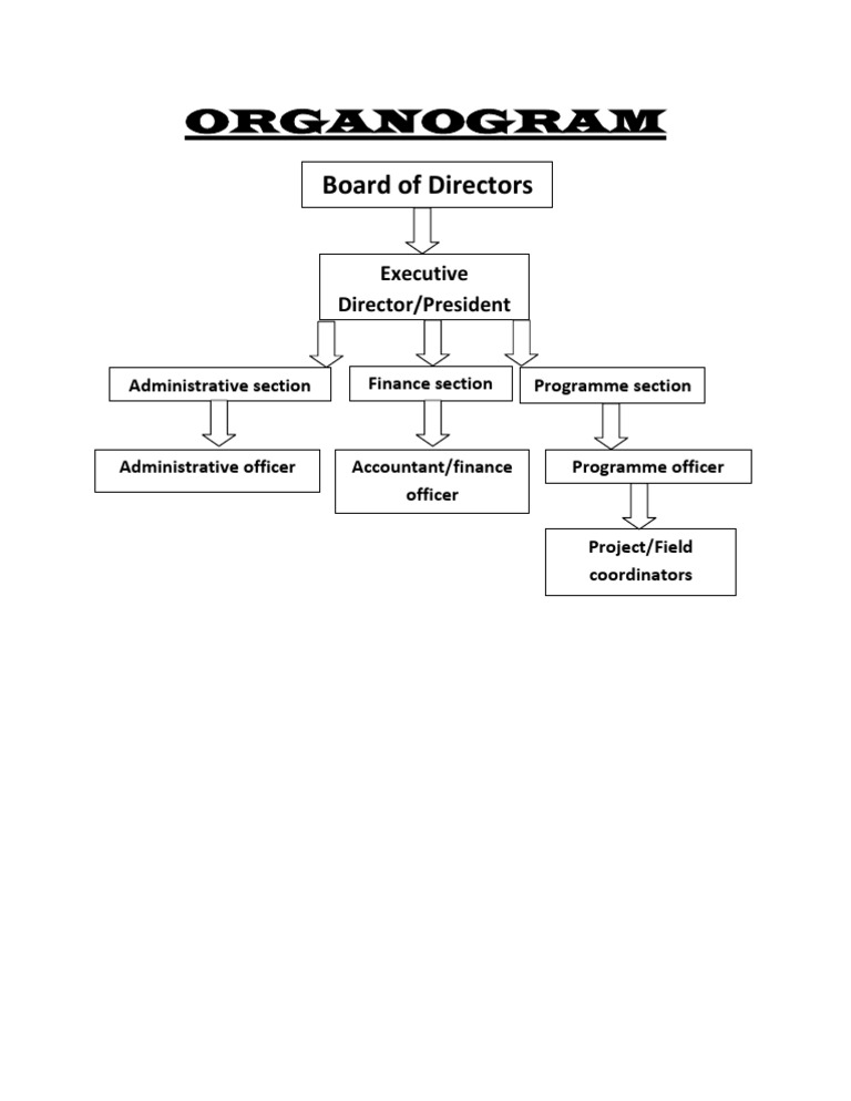 ORGANOGRAM | PDF | Technology & Engineering