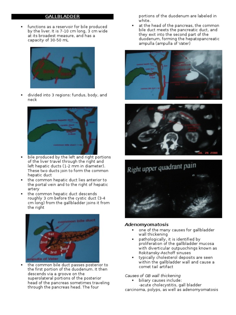 Gallbladder, Liver, Pancreas and Spleen | PDF | Gallbladder ...