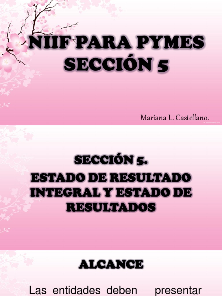 Niif Seccion 5, Ba Ven Nif 5 y Nic 1 | PDF | Estado de resultados ...