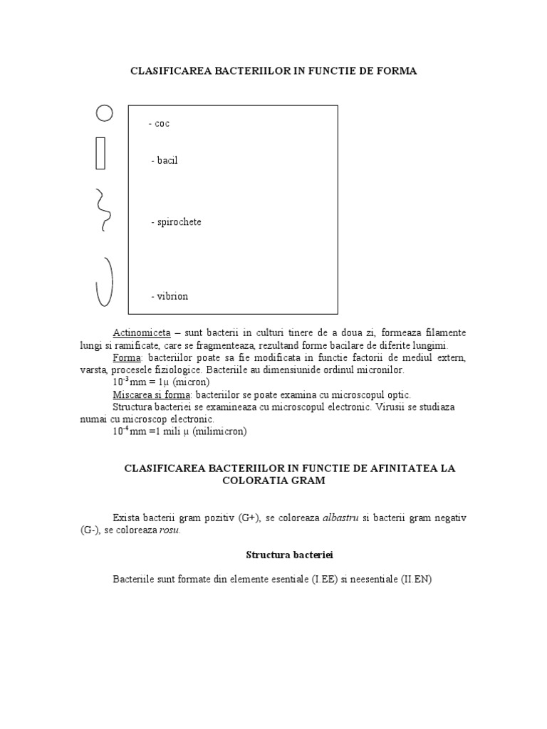 Clasificarea Bacteriilor in Functie de Forma | PDF
