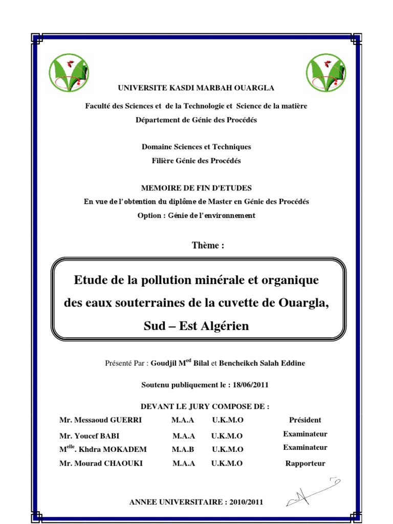 Mémoire de Fin D'étude | PDF | Pollution de l'eau | Eau
