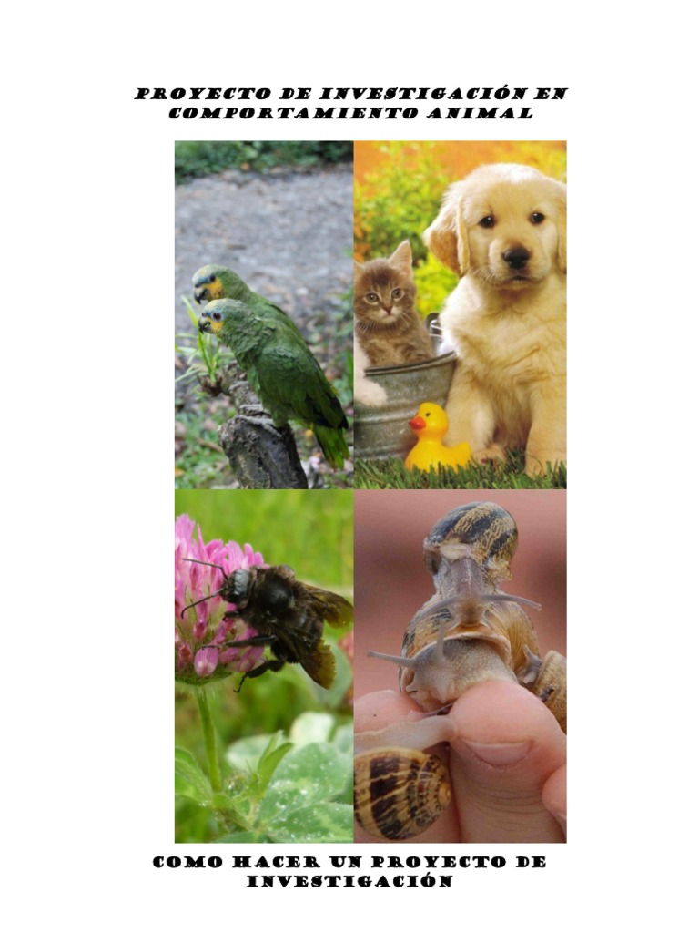 Proyecto de Investigación en Comportamiento Animal | PDF | Hipótesis ...