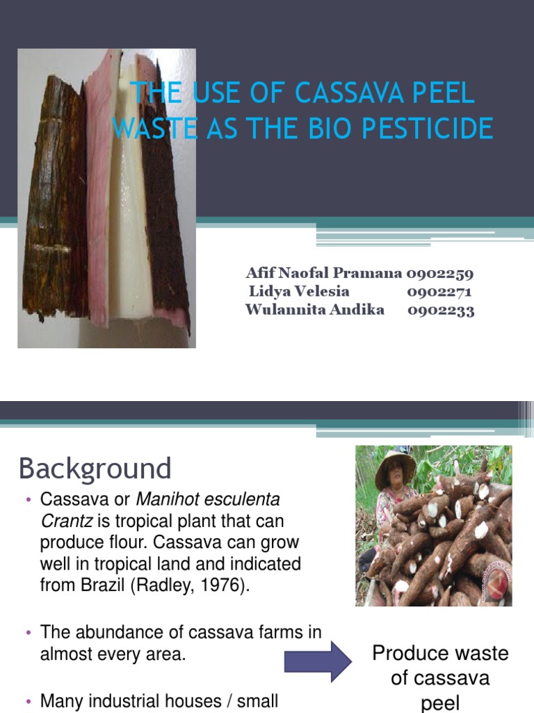 The Use of Cassava Peel Waste As Bio Pesticide | Chemical Substances ...