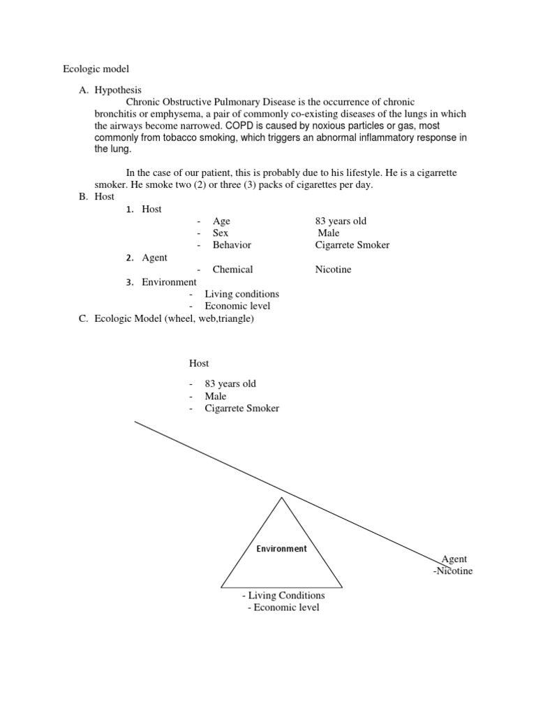 Ecologic Model COPD | PDF | Chronic Obstructive Pulmonary Disease ...