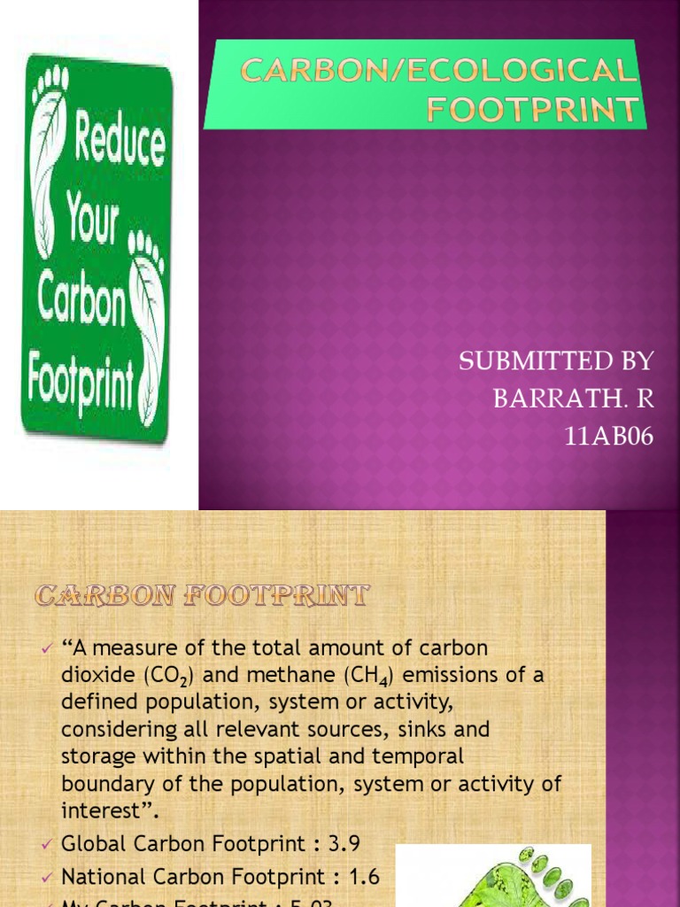 Reducing My Carbon and Ecological Footprint | PDF