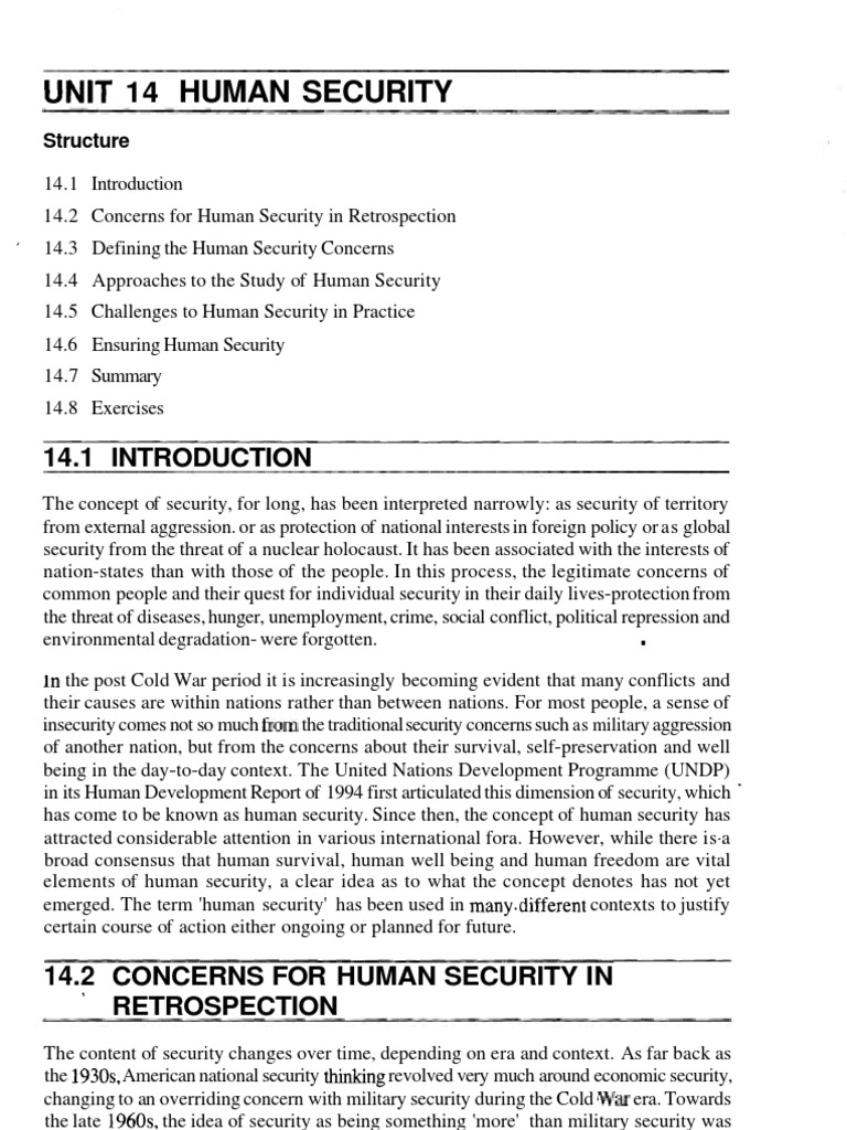 Human Security | PDF