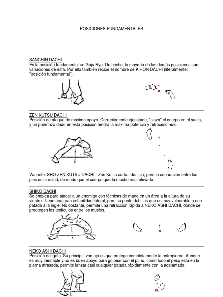 Posiciones Fundamentales de Karate Do | PDF | Kárate | Combate