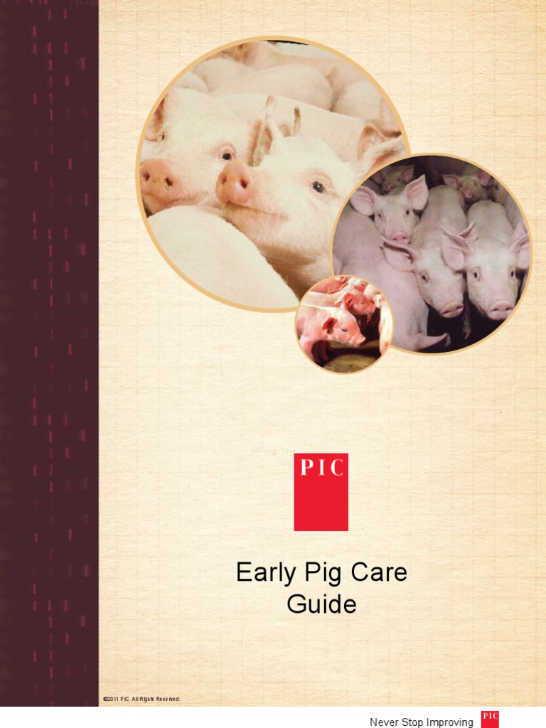 Early Pig Guide | PDF | Domestic Pig | Weaning
