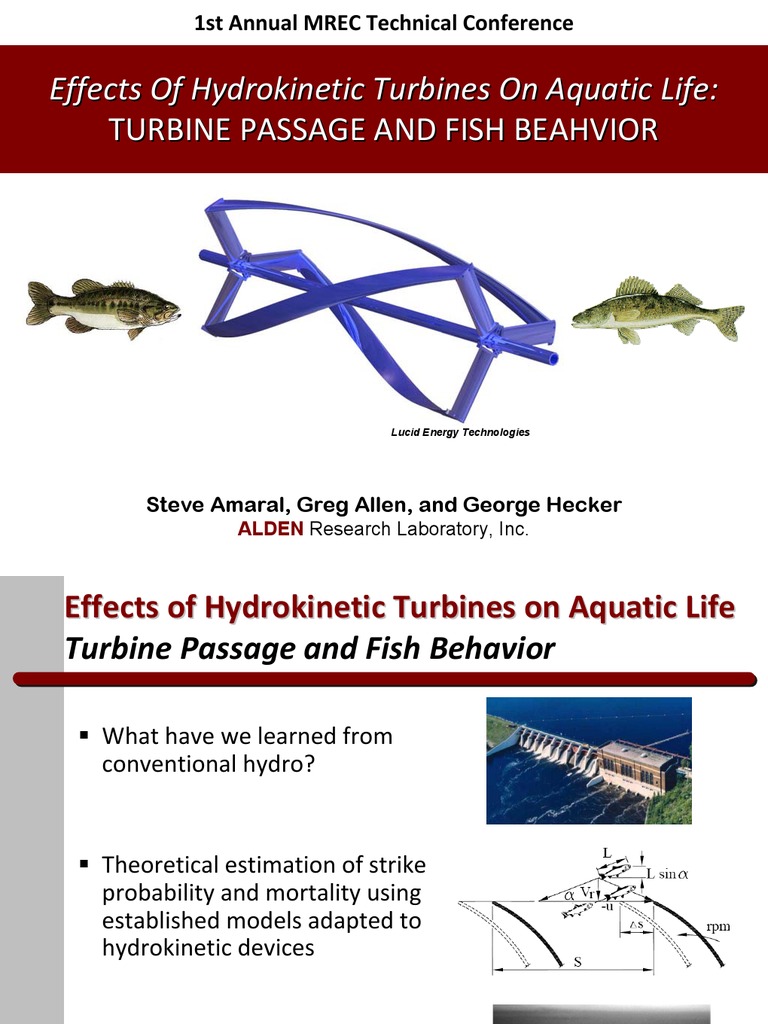 Effects of Hydrokinetic Turbines | Turbine | Hydroelectricity