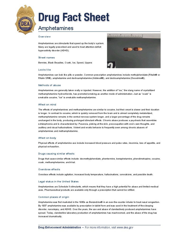 Drug Fact Sheet: Amphetamines Amphetamines | PDF | Methamphetamine ...