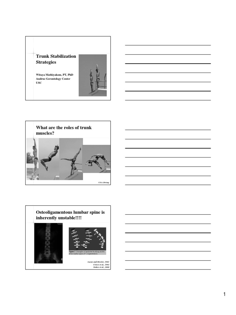 Trunk Stabilization Strategies: Witaya Mathiyakom, PT, PHD Andrus ...