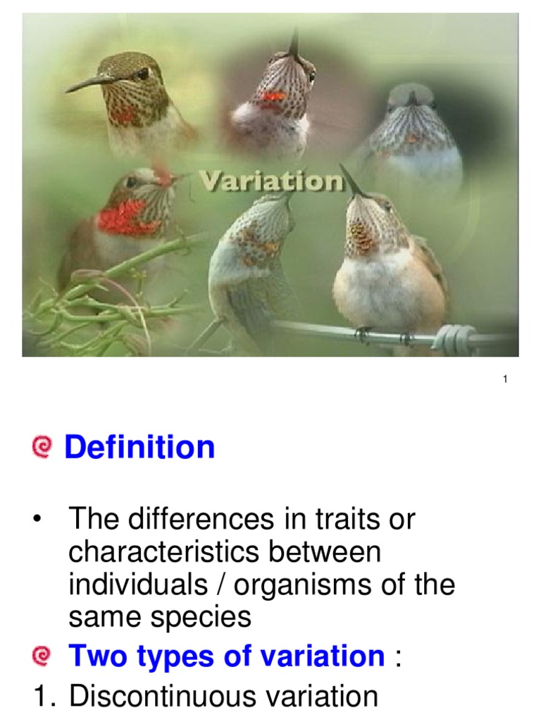 Genetic and Environmental Variation | PDF | Mutation | Gene