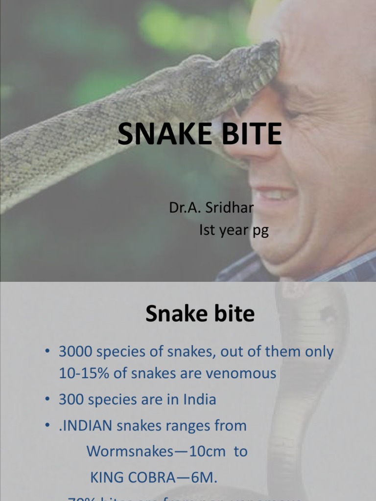 Snake Bite management | Snake | Venom