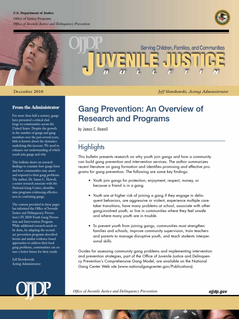 Gang Prevention - An Overview | PDF | Juvenile Delinquency | Gang