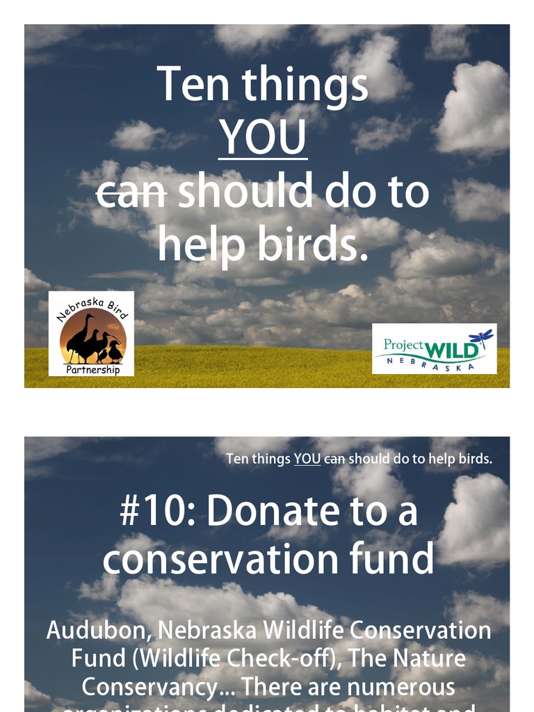10 Things To Help Birds | PDF | Berry | Pesticide