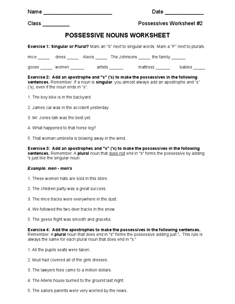 Singular Possessive Nouns Worksheet Exercise