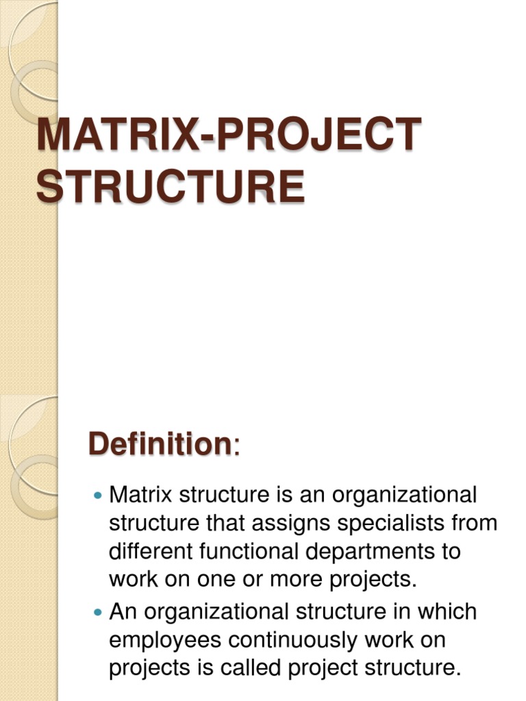 Matrix Structure | PDF | Business