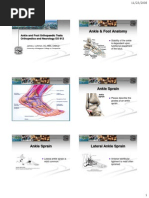 Glossary of Podiatry Terms | PDF | Toe | Foot
