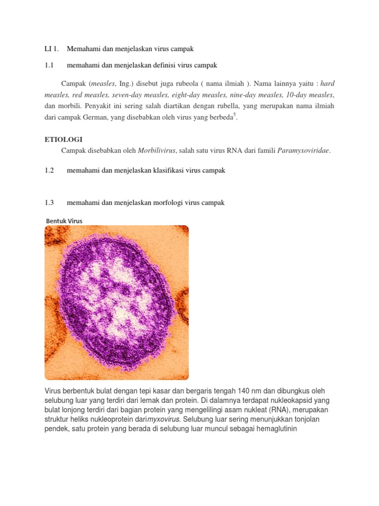 Campak | PDF