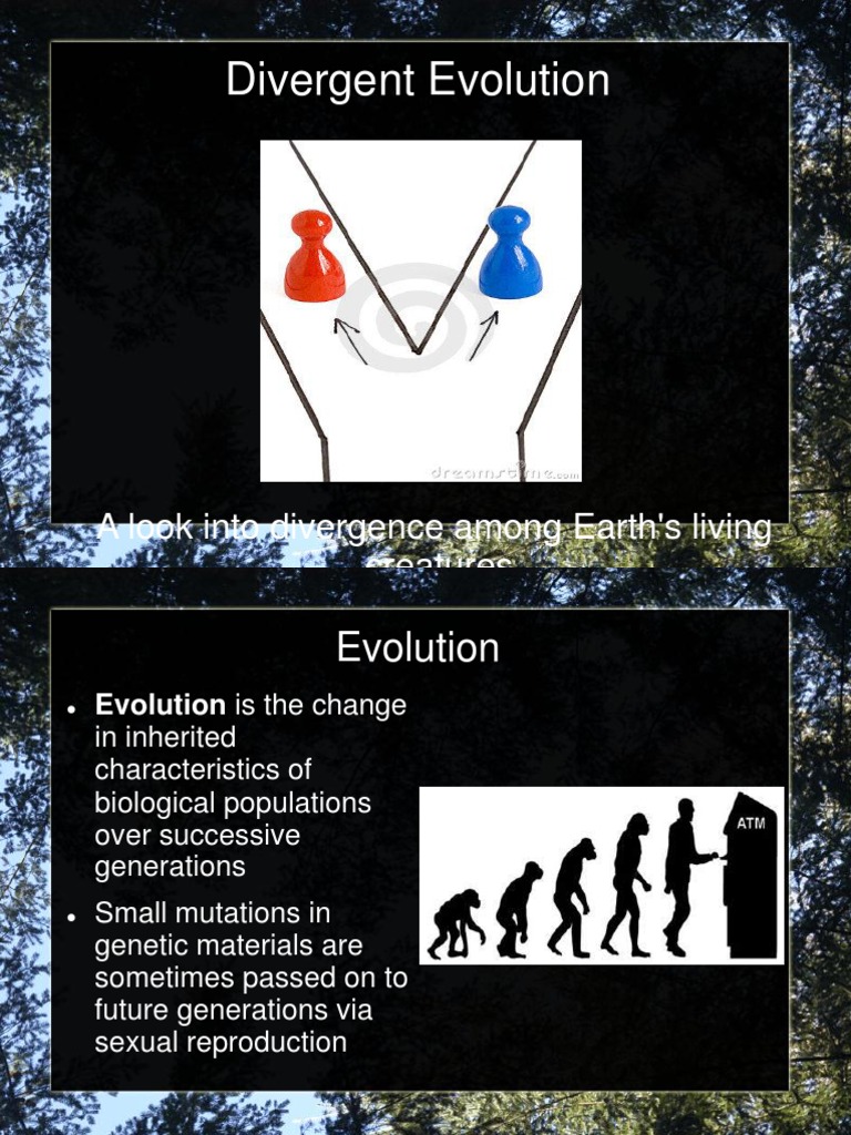 Sample Biology Project 1 | PDF | Fitness (Biology) | Evolution