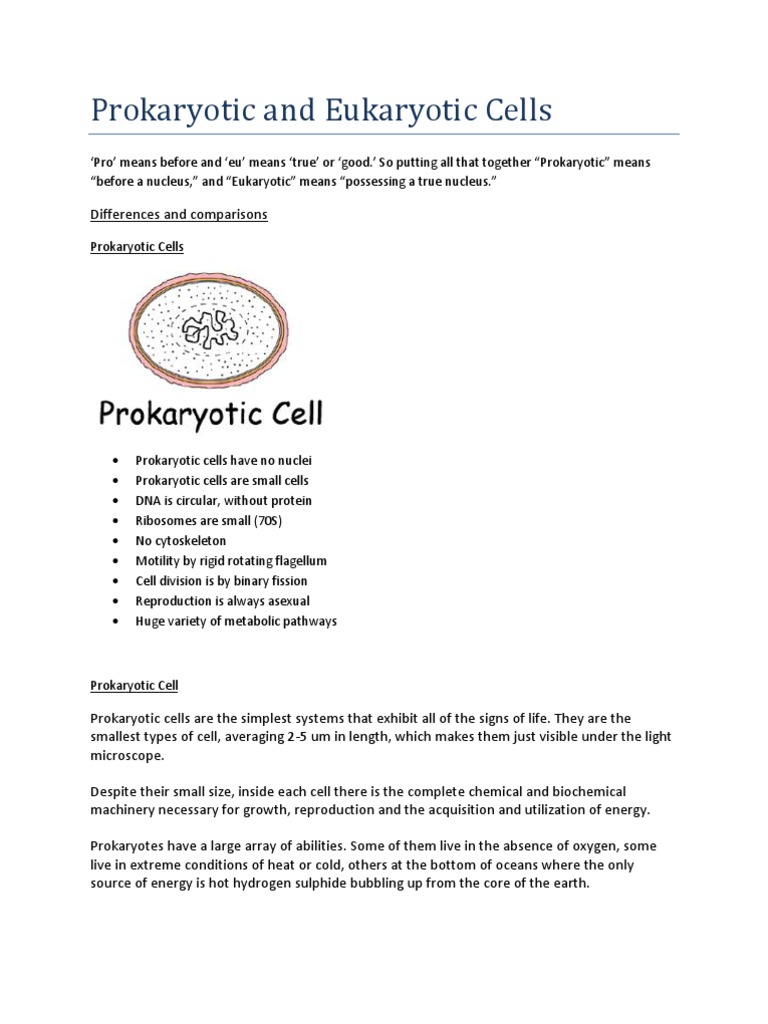 Cell Structure: Prokaryotes vs. Eukaryotes | PDF | Eukaryotes | Cell ...