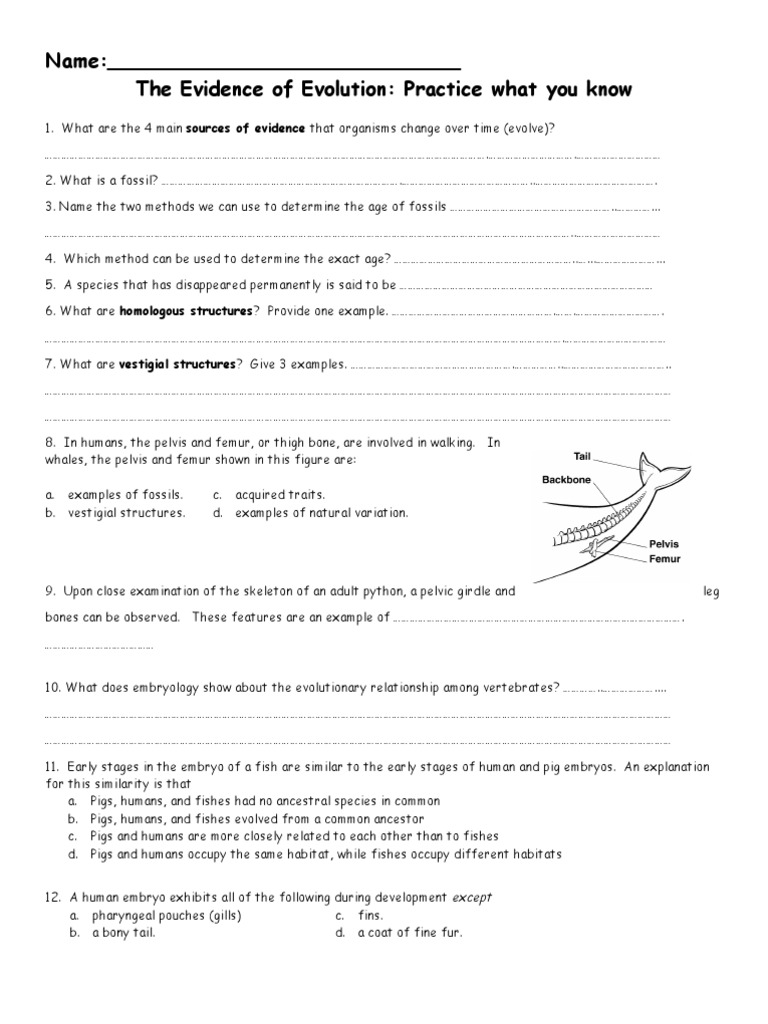 Evidence of Evolution: An Analysis of the Key Concepts and Supporting ...