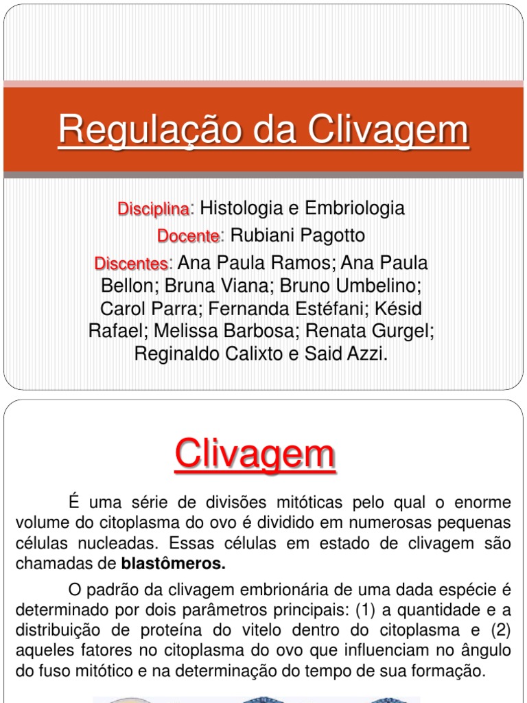 Tipos de Clivagem | PDF | Ovo | Reprodução