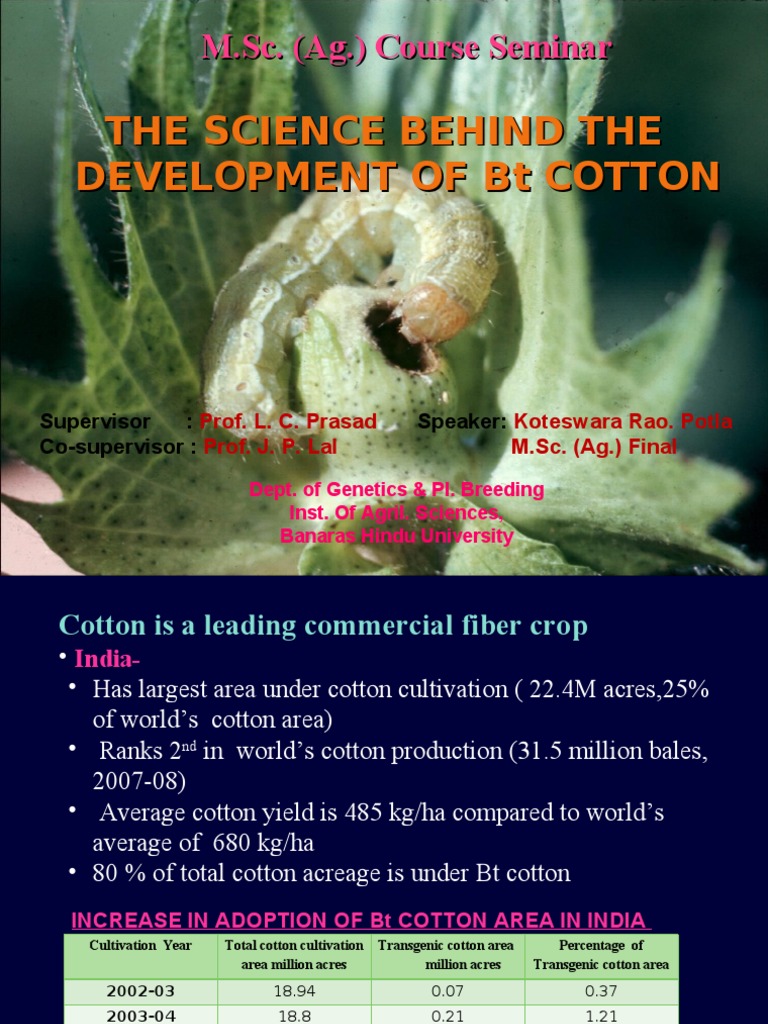 Science Behind The BT Cotton | PDF | Plasmid | Gene