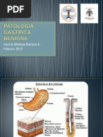 Cápsula de Glisson | PDF | Tejido adiposo | Riñón