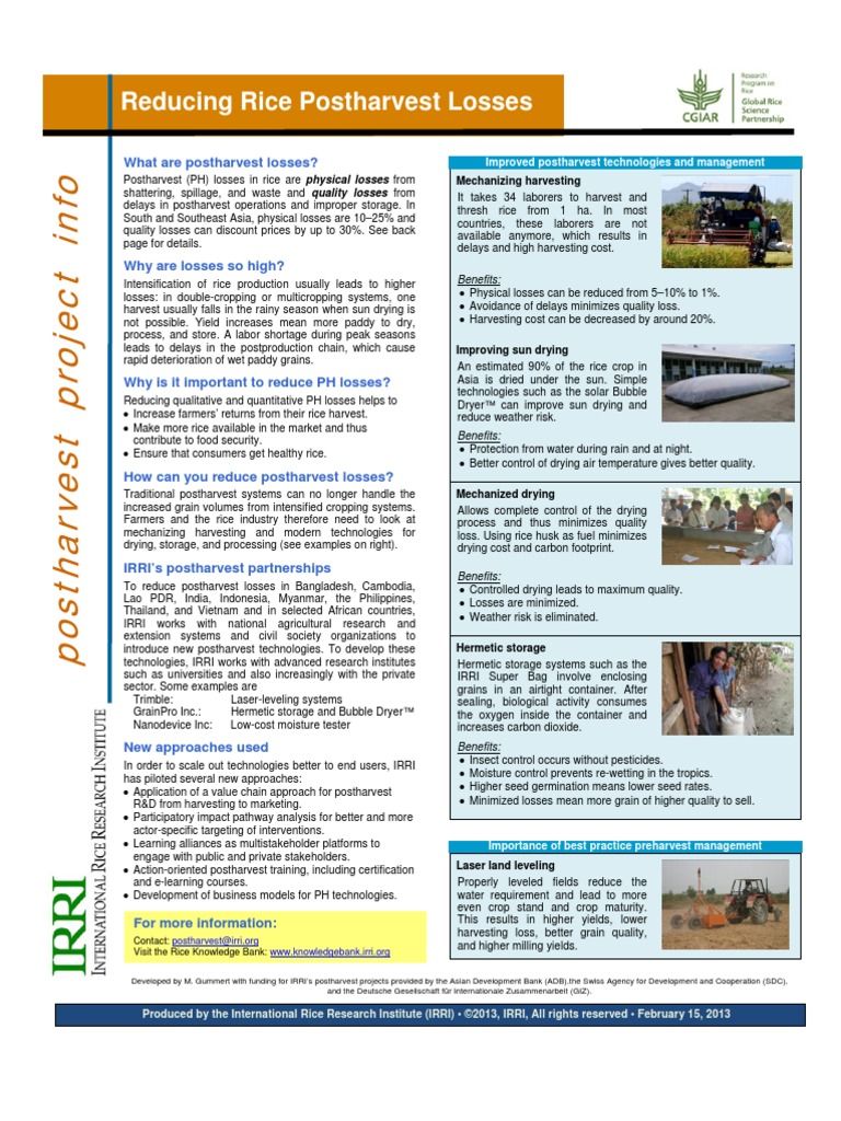 Reducing Rice Postharvest Losses | Download Free PDF | Rice ...