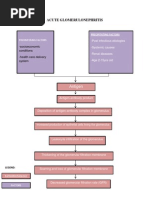 Acute Glomerulonephritis - AGN - Nursing Care Plan | PDF | Edema ...