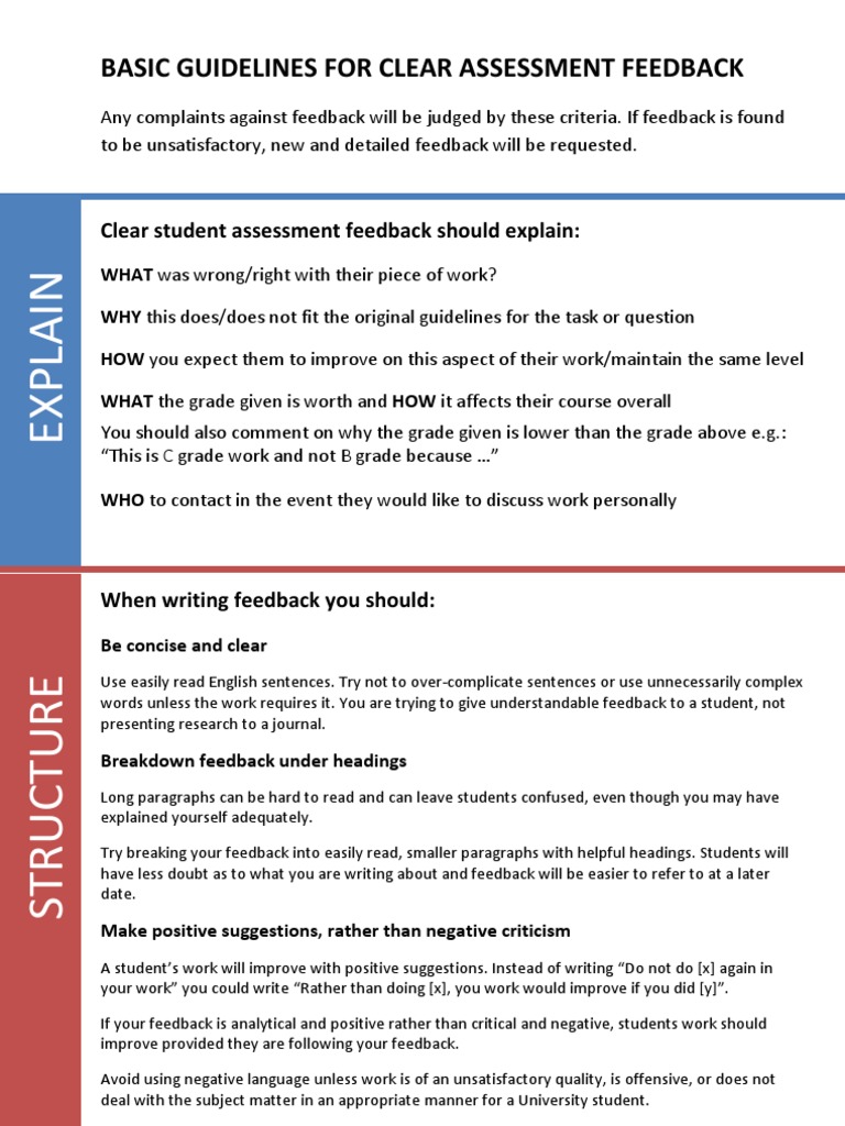 Example of Feedback Guidelines | PDF