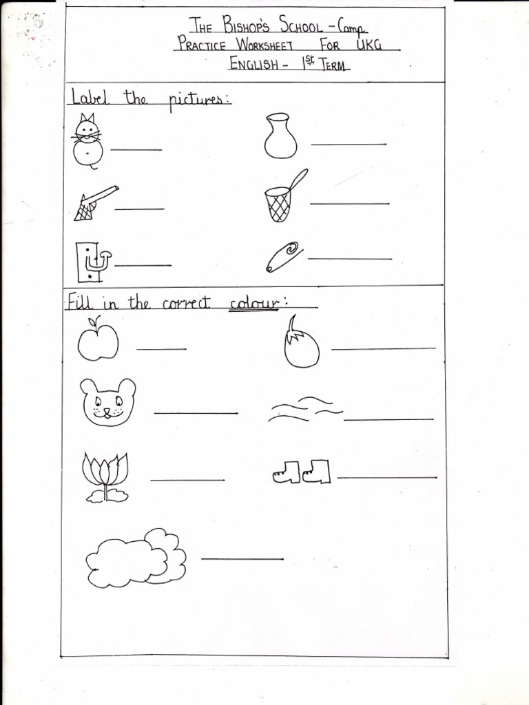 UKG English Worksheet | PDF | Social Science