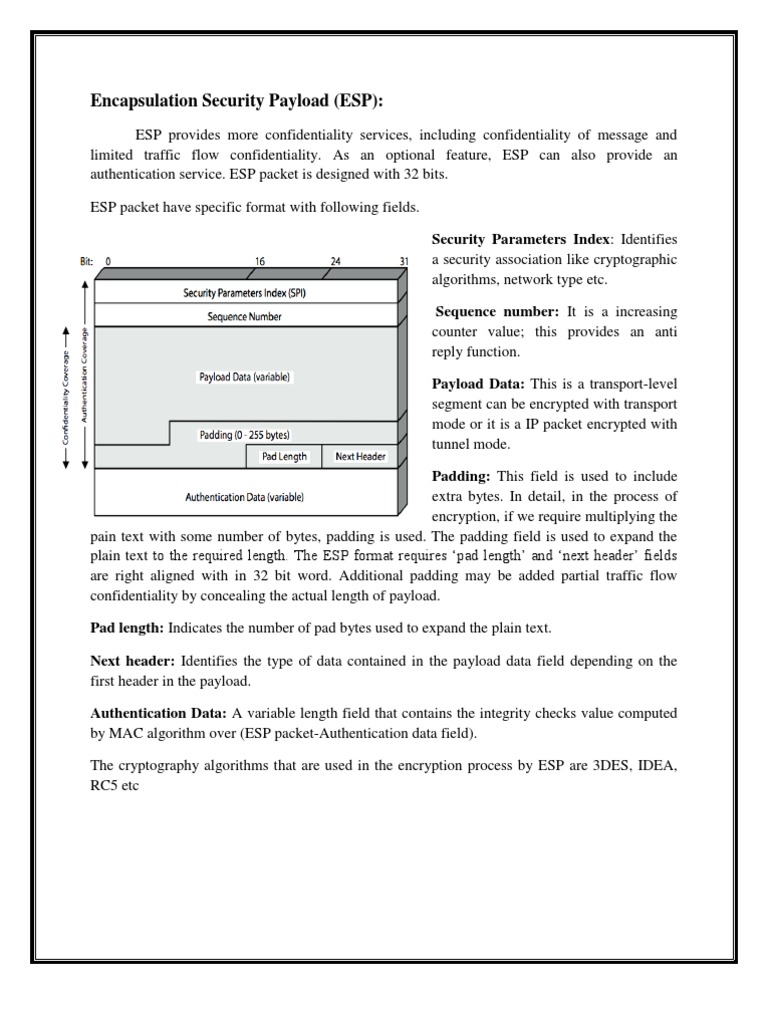 Encapsulation Security Payload Network Packet Internet Protocols 