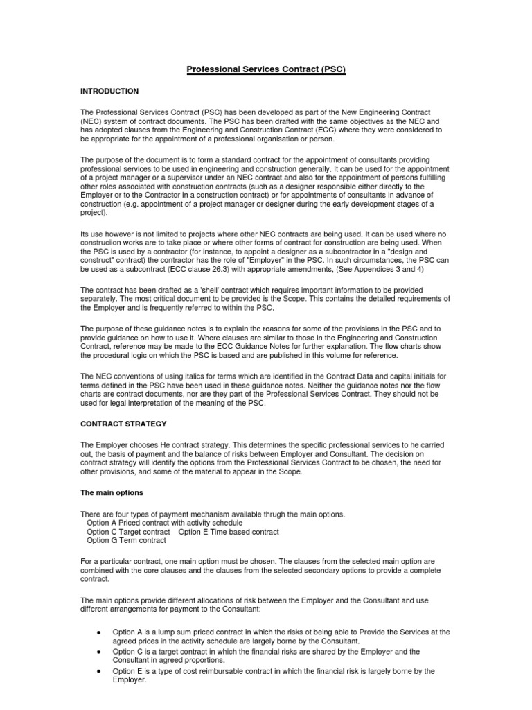 Professional Services Contract Overview | PDF