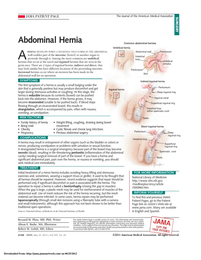 Abdominal Hernia: Jama Patient Page | PDF | Clinical Medicine | Medical ...
