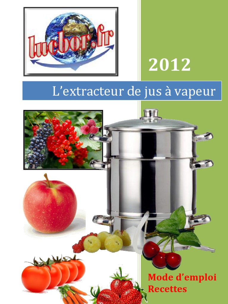 Extracteur De Jus Vapeur Mode D Emploi