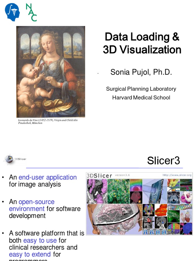 Slicer3 DataLoadingAndVisualization UCSF2010 SoniaPujol | PDF | 3 D Computer Graphics | Icon ...