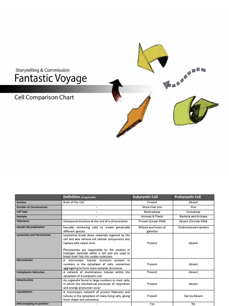 Cell Comparison Chart | Download Free PDF | Cytoplasm | Cell (Biology)