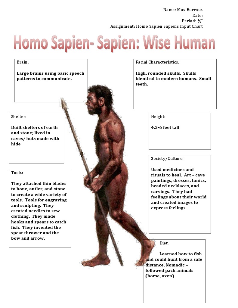 Master Homo Sapien Sapiens Detailed Input | PDF | Homo Sapiens | Paintings
